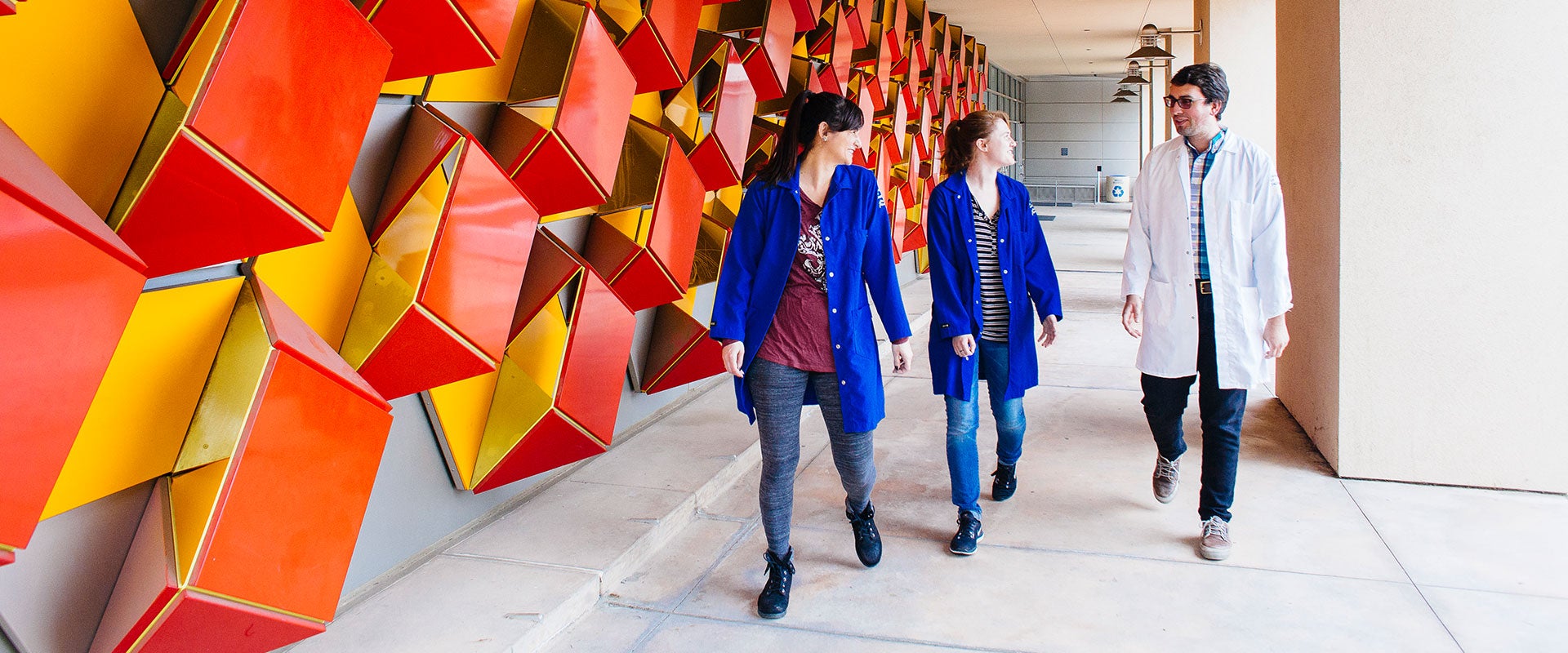 Definition of ASE Title Codes | Graduate Division